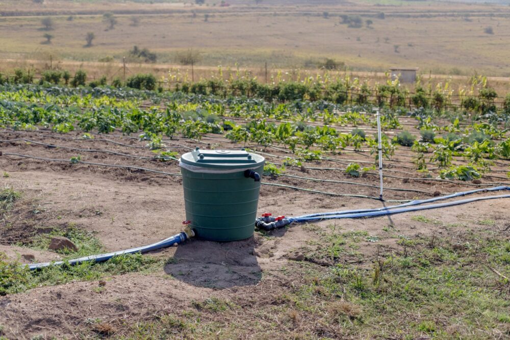 New Gravity Watering System Saves Resources And Raises Crop Yields ...