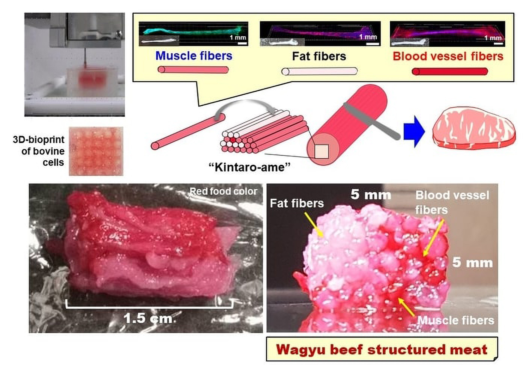 VIDEO: High Steaks: First Ever 3D-Printed Wagyu Beef Created In Lab ...
